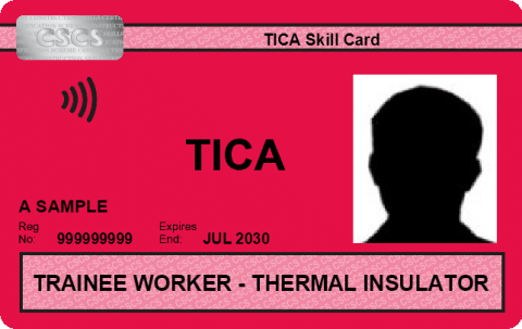 TICA - Skillcard